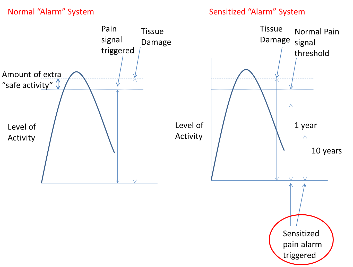 All About Pain and What to do About it – Against All Pains